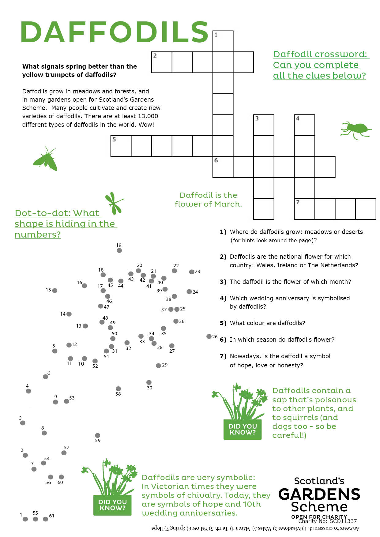 Children's Activity Handouts