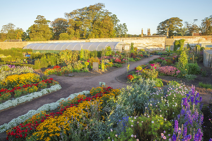 How to Photograph Your Garden